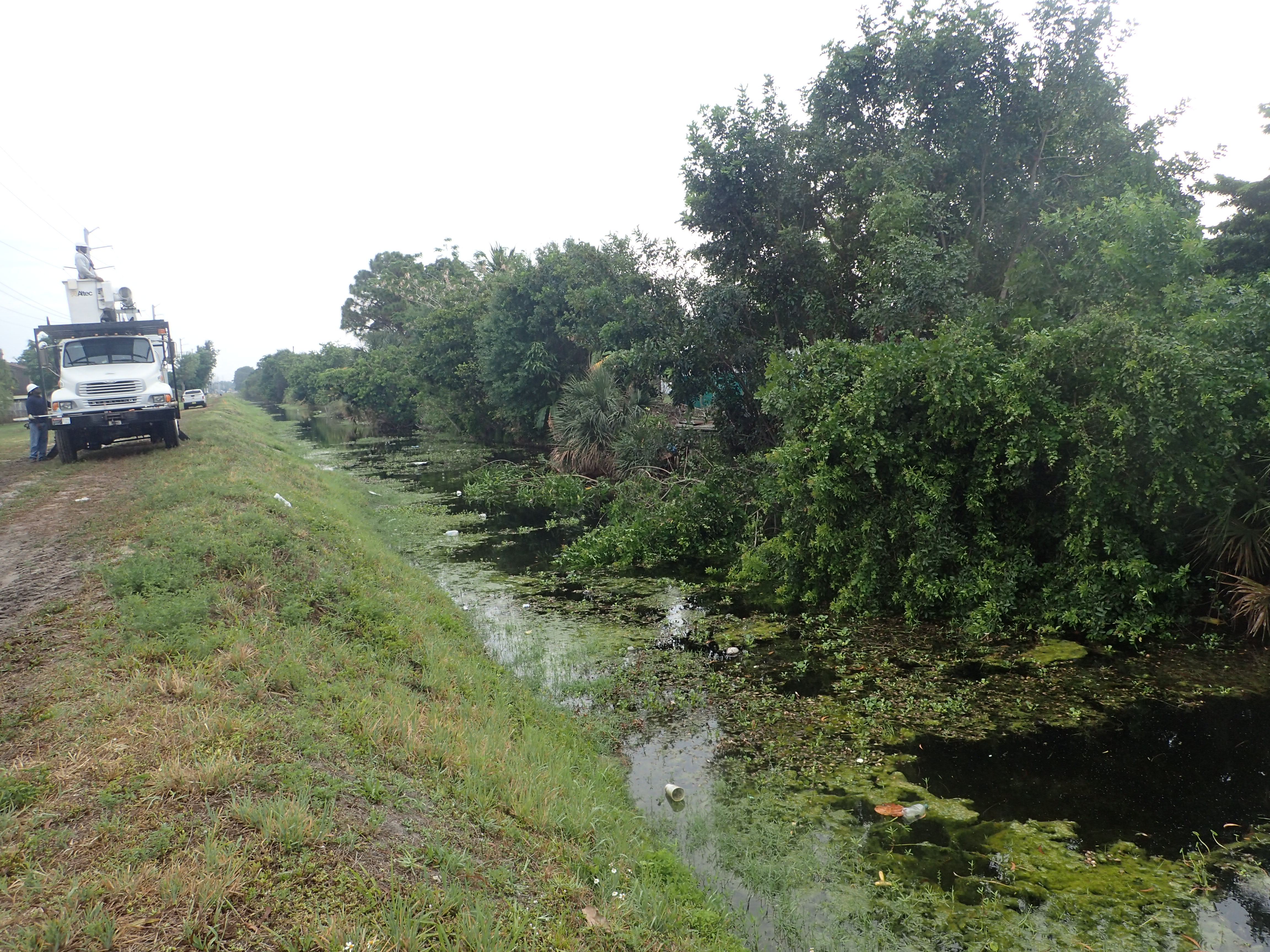 In Your Neighborhood - Lake Worth Drainage District